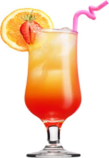 Sex On The Beach Bartender Store